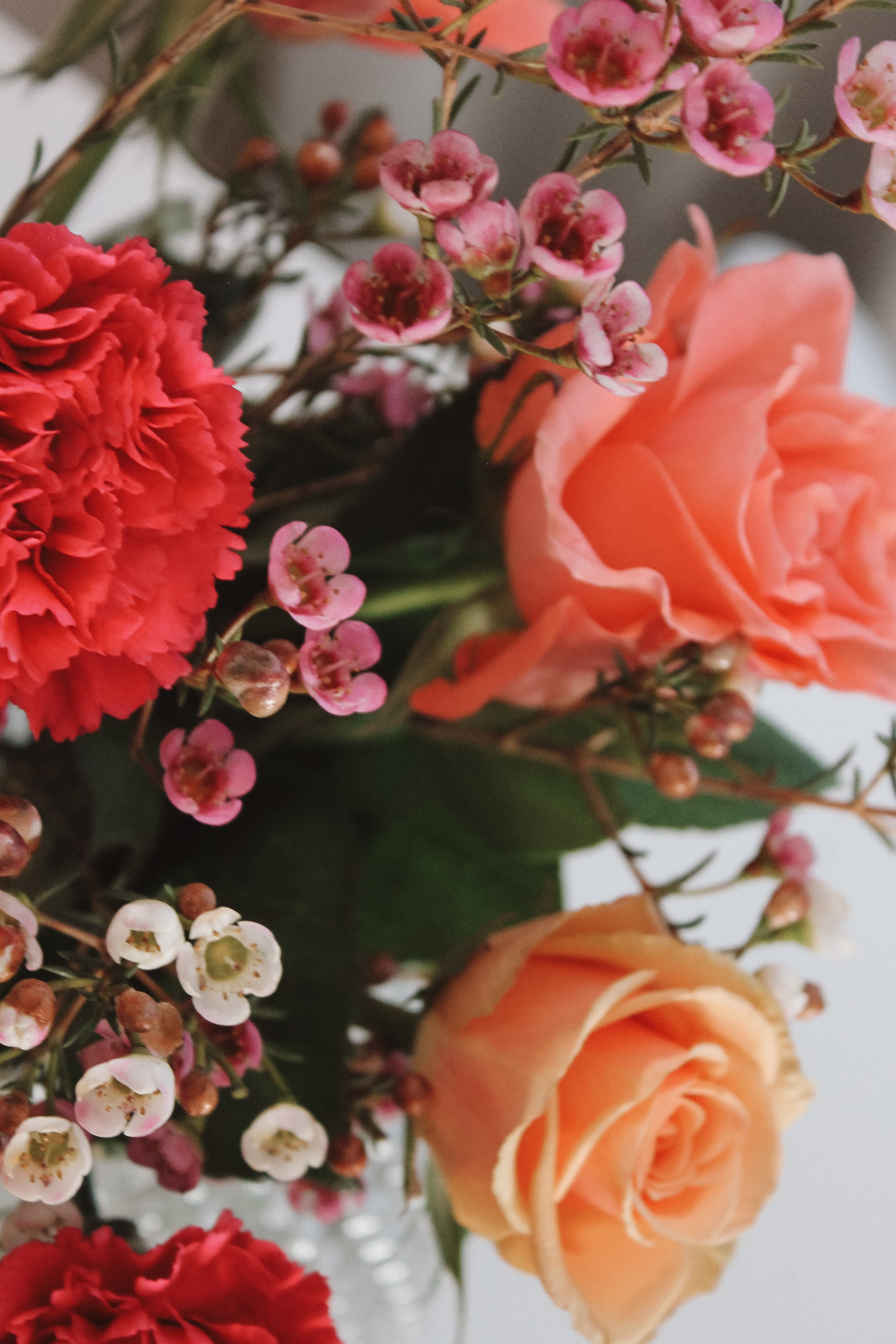 Gefðu blóm – Blómstra